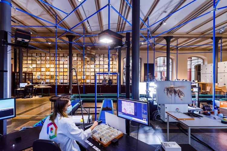 Das Museum | Museum für Naturkunde