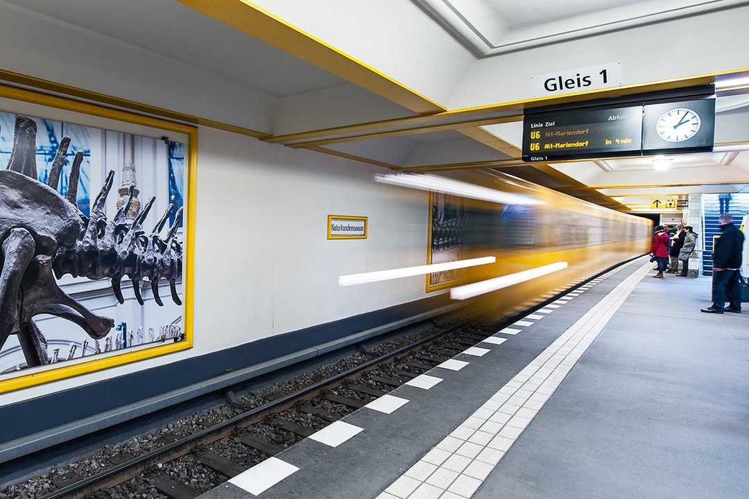 Besuch planen | Museum für Naturkunde